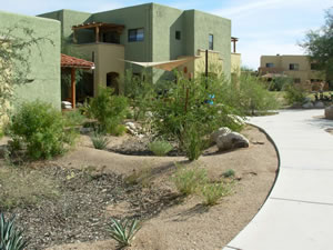 Tucson continues to show the way on water management