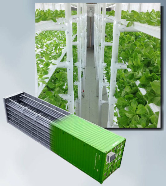 Shipping container farms for locally-grown produce